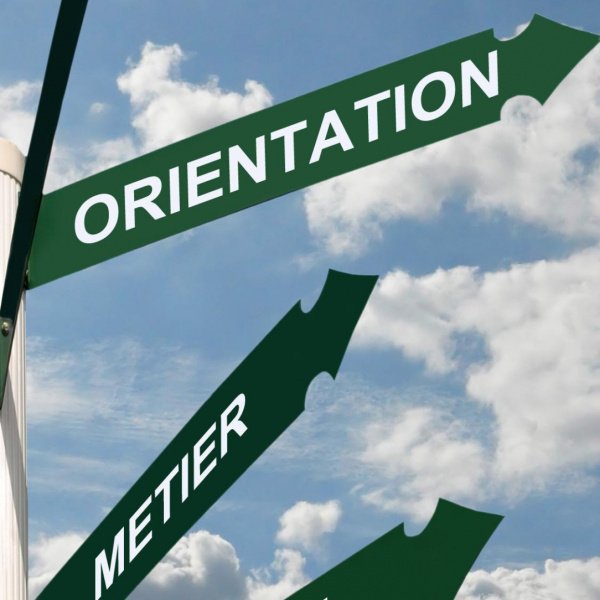 Ressources en ligne pour l’orientation - Lycée Mona Ozouf